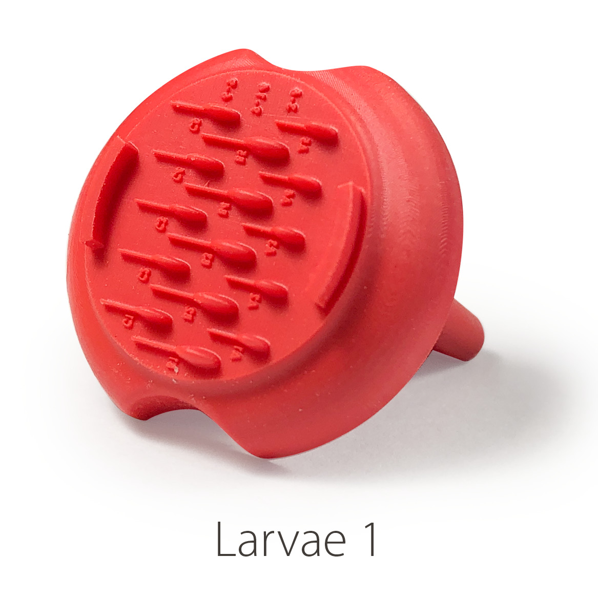 Stampwell Z - zebrafish imaging | Idylle