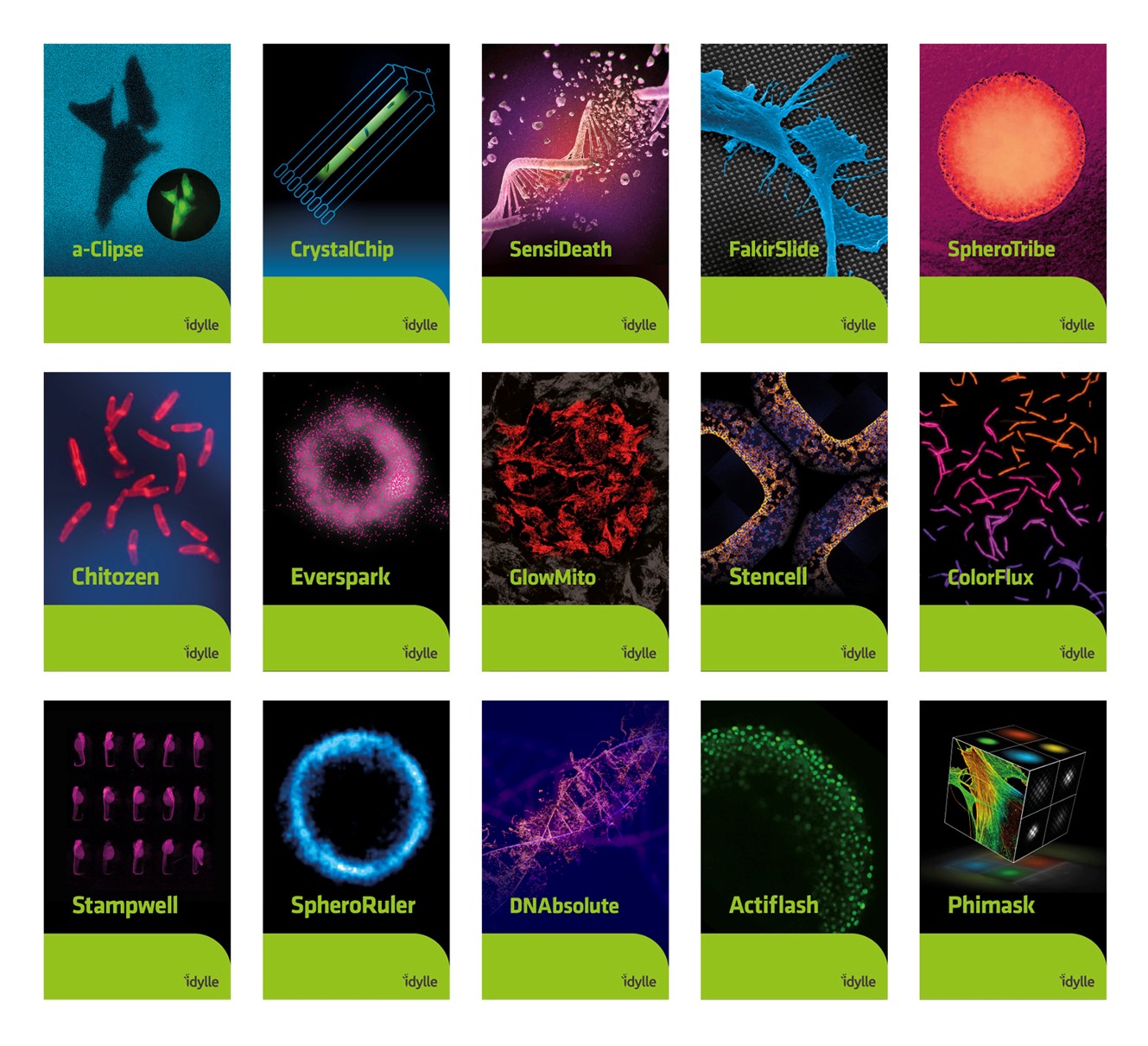 Mayeul Collot | IDYLLE