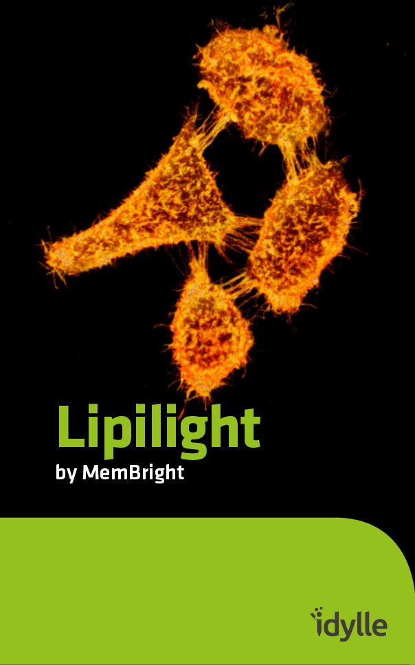 Lipilight by MemBright | IDYLLE