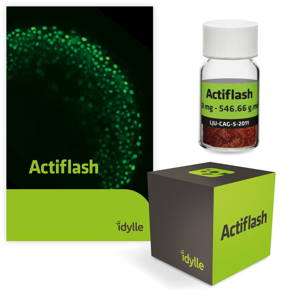 Actiflash - A photoinducible protein activator | IDYLLE