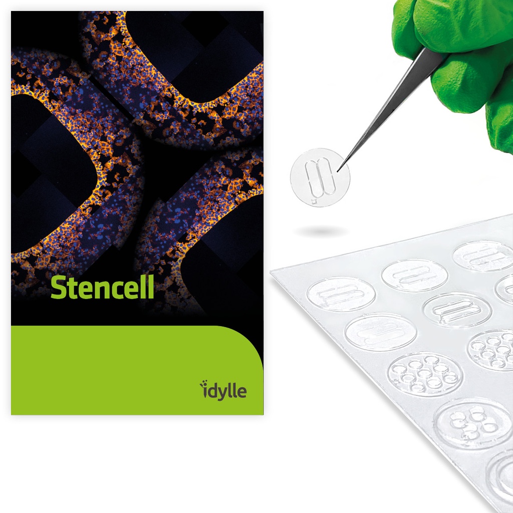Stencell - Removable PDMS cell culture chambers