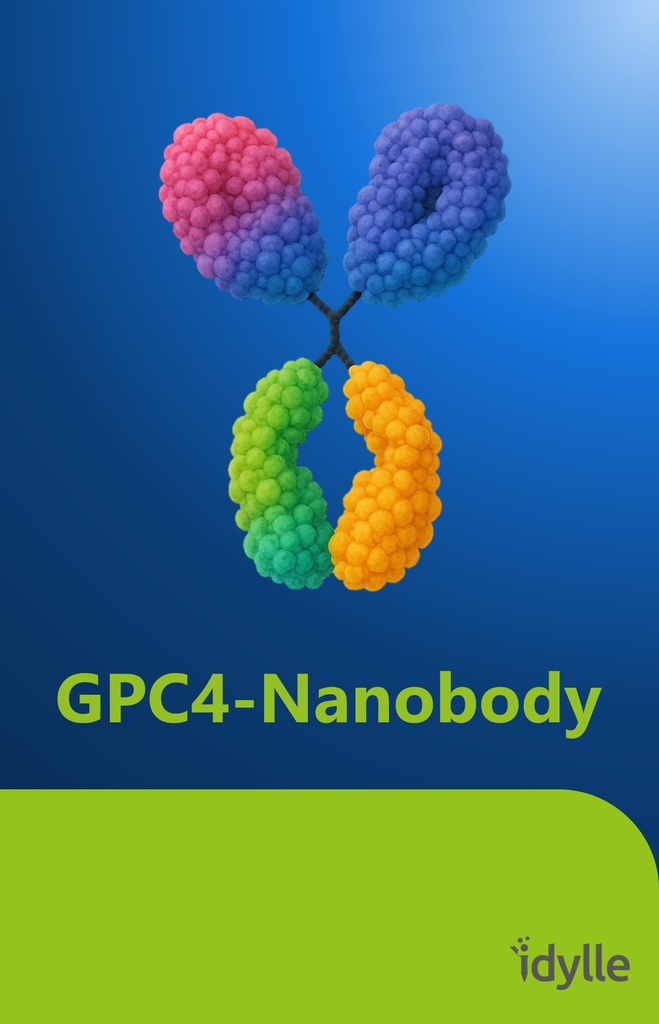 GPC4-Nanobody - stem cell differentiation booster | IDYLLE